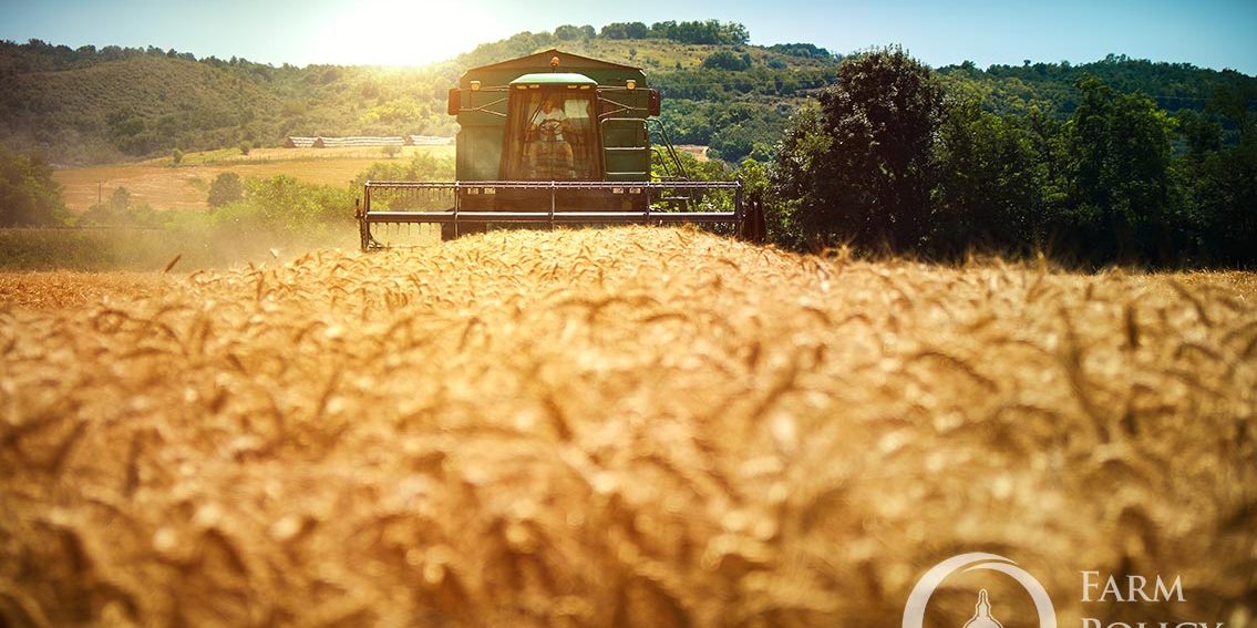 Standing Up for America's Farm & Ranch Families - Farm Policy Facts