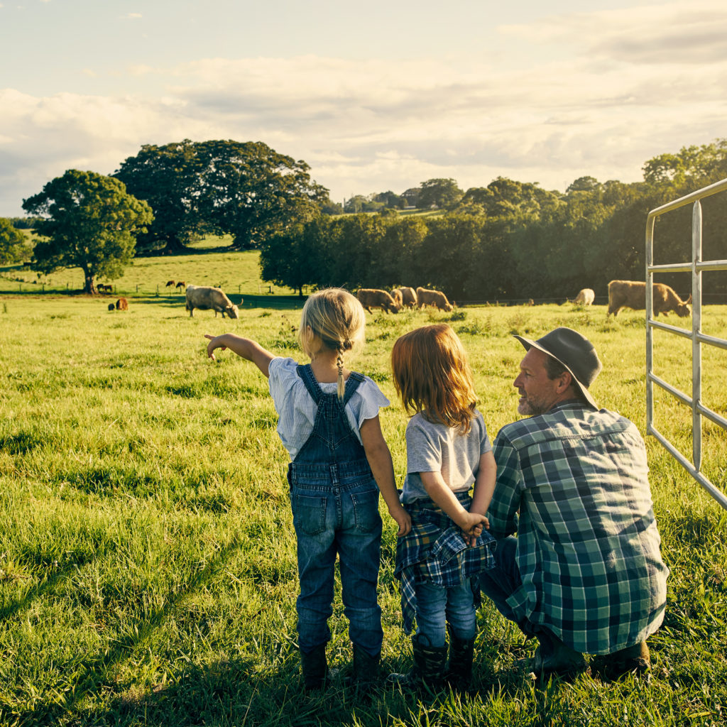 Who is the American Farmer? - Farm Policy Facts